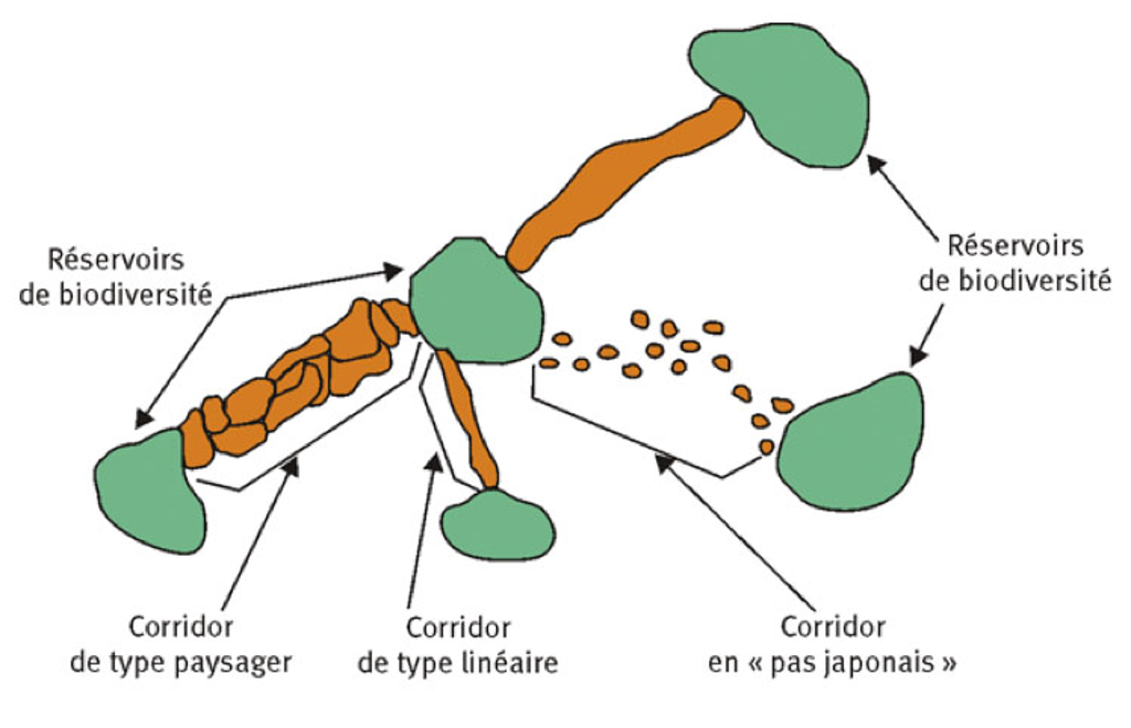 Glossaire / Notions | SAGE Dordogne Atlantique